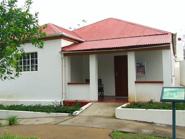 Searching for the Chief » Sizakele